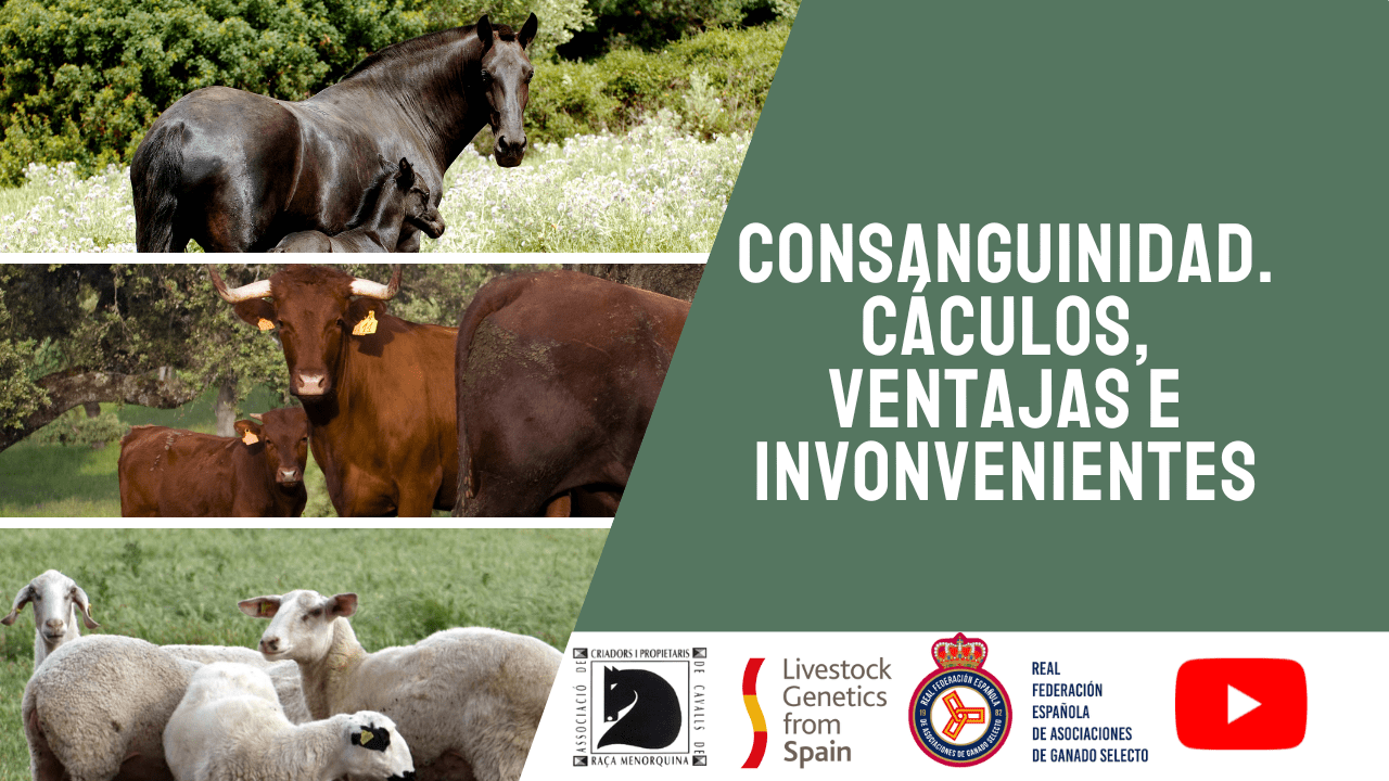 Seminar 4: Consanguinity: Calculations, Advantages, and Disadvantages ...