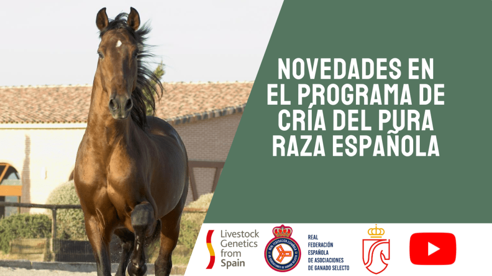 Seminar 2: Updates in the Breeding Program of the Purebred Spanish ...