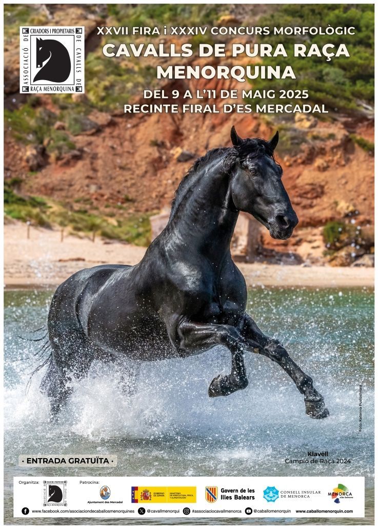 Influencers internacionales del mundo del caballo visitan Menorca en una misión inversa ...